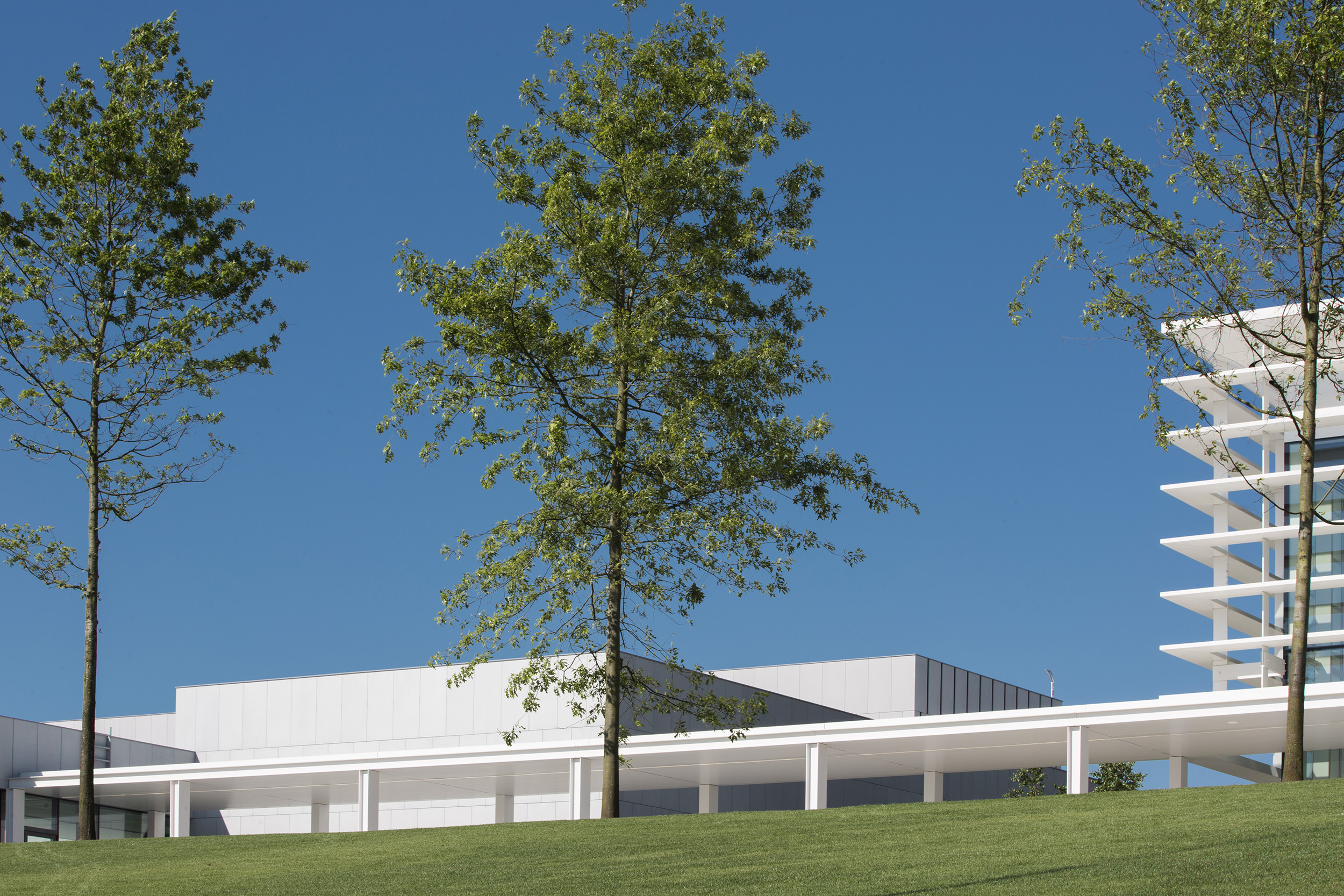 Erweiterung des Hauptsitzes von INDITEX, Arteixo - Gina Barcelona ...